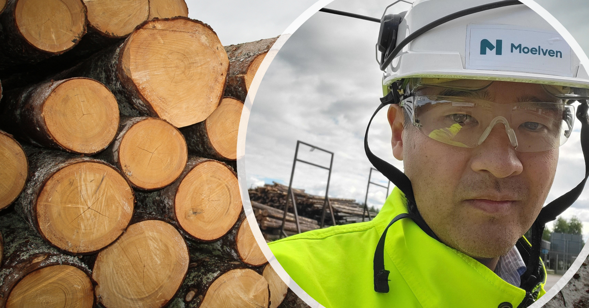 Lågkonjunktur och höga elpriser pressar Moelven Dalaträ