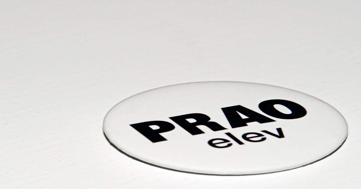 Prao – första mötet med arbetslivet